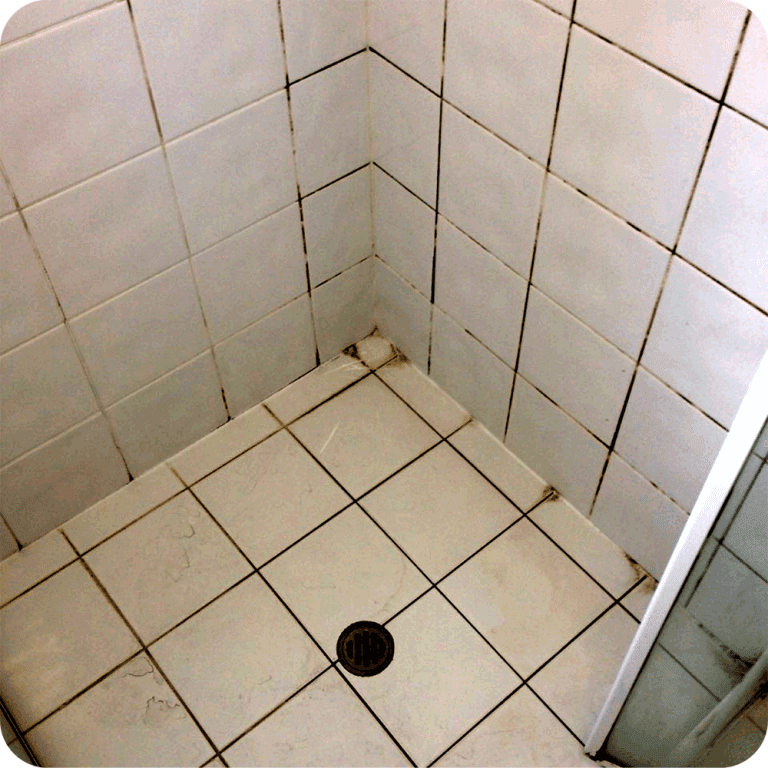 Trusted Leaky Shower Repair | The Shower Repair Centre