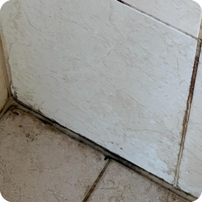 Trusted Leaky Shower Repair | The Shower Repair Centre